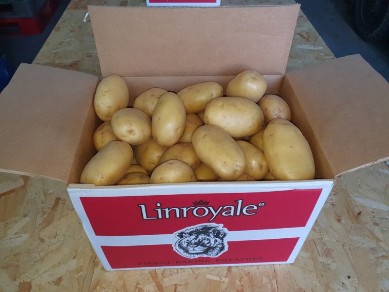 Jacket Potatoes – eedandsonltd