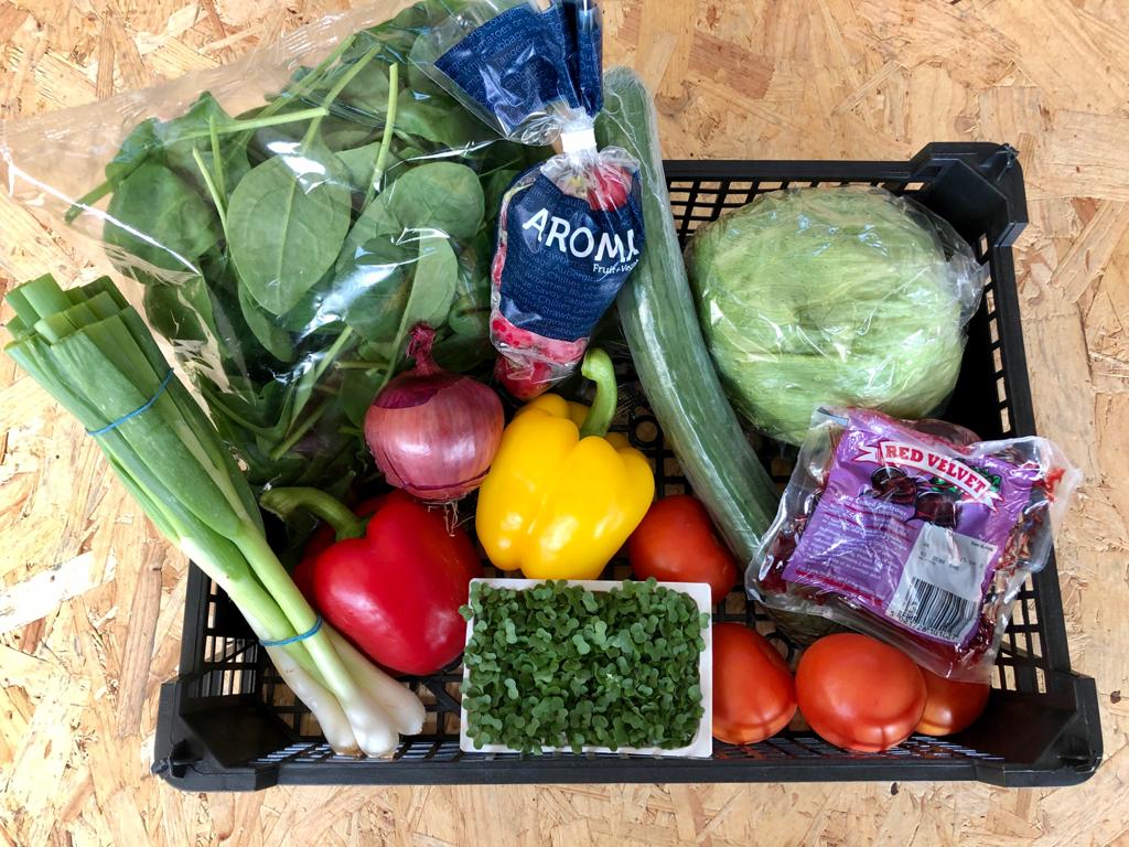 Salad Box – eedandsonltd